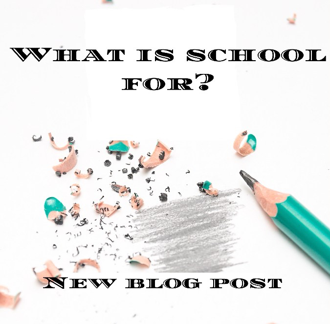 What is School For? – Morgane Michael