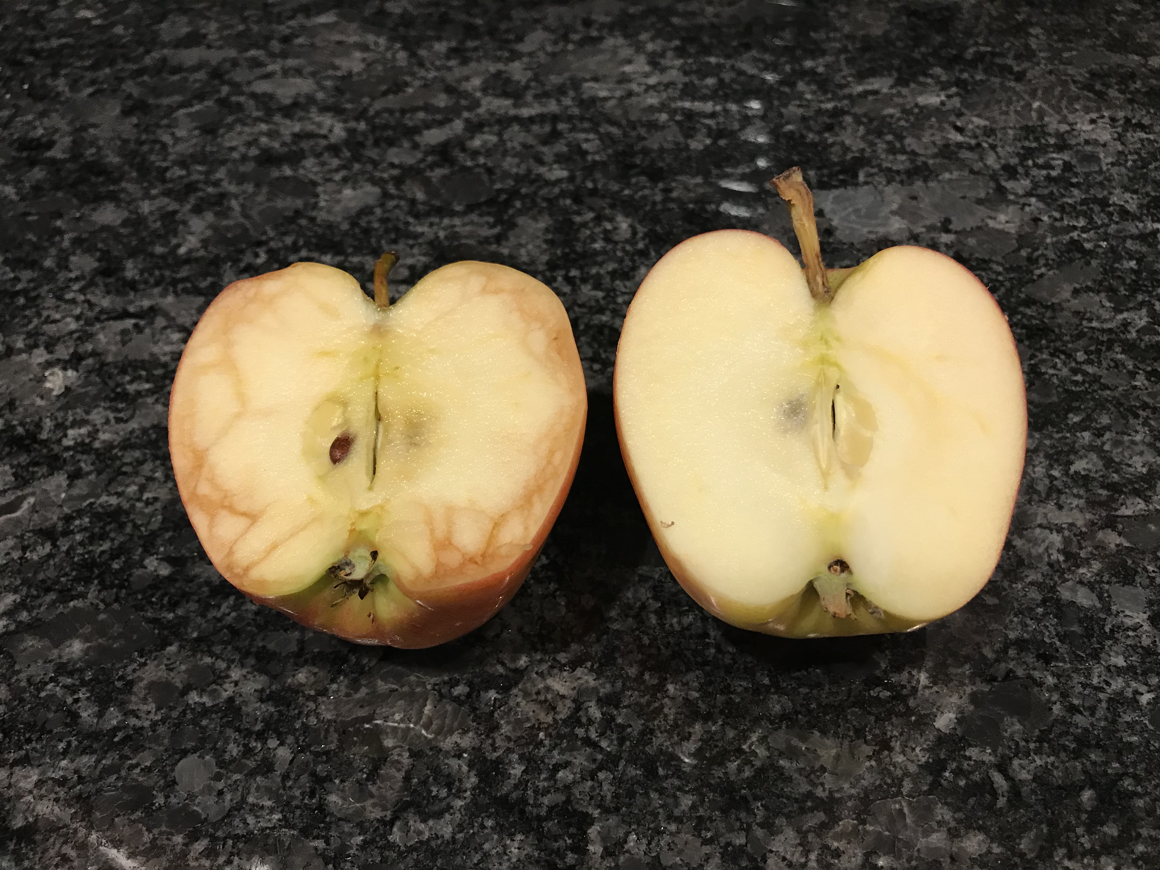 The Bruised Apple Kindness Lesson (K-12) – Morgane Michael