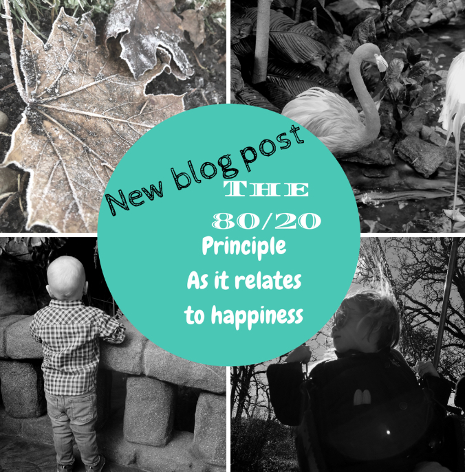 The 80/20 Principle As it Relates to Your Happiness – Morgane Michael