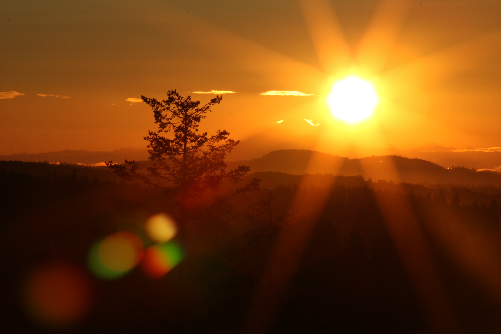 Do-Over – Morgane Michael